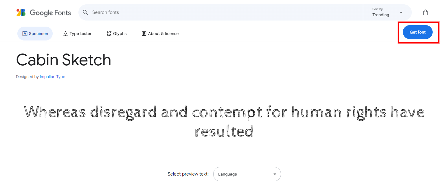 How to use a Google Font